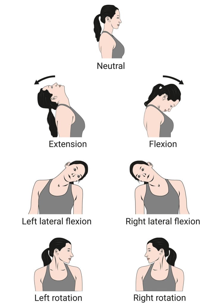 Flexion And Extension Of Neck Neck Pain South Tees Hospitals NHS